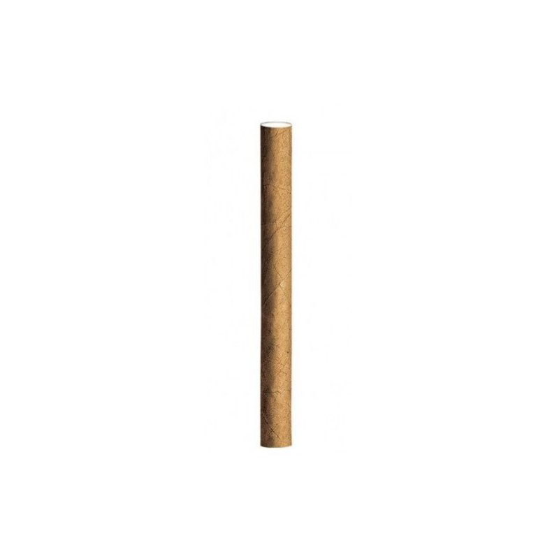 Tigari de foi Villiger Green Mini Filter (100) Reduceri