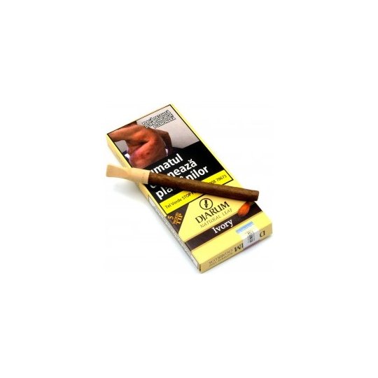 Tigari de Foi Djarum Wood Tips Ivory (50)
