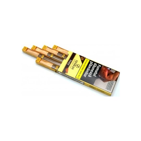 Tigari de Foi Djarum Wood Tips Ivory (50)
