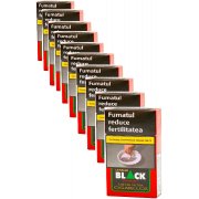 Tigari de Foi Djarum Black Garnet Filter Cigarillos (100)
